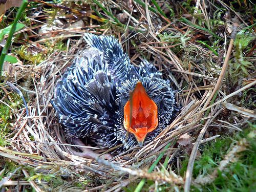 ReadWorks | Award-Winning, EdTech Nonprofit Organization