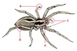 ReadWorks | Award-Winning, EdTech Nonprofit Organization