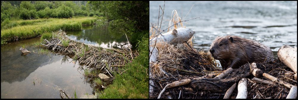 ReadWorks | Award-Winning, EdTech Nonprofit Organization