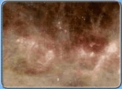 ReadWorks | Award-Winning, EdTech Nonprofit Organization