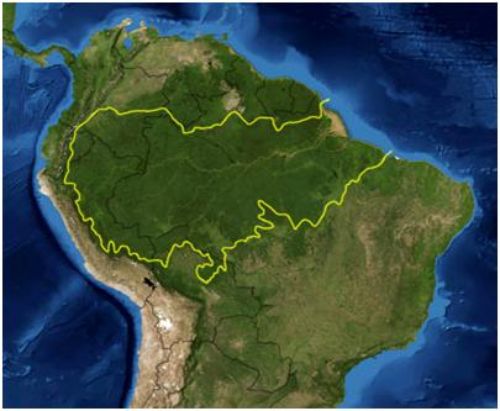 ReadWorks | Award-Winning, EdTech Nonprofit Organization