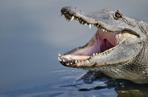 ReadWorks | Award-Winning, EdTech Nonprofit Organization