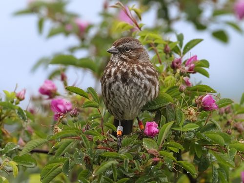 ReadWorks | Award-Winning, EdTech Nonprofit Organization