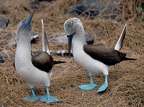 ReadWorks | Award-Winning, EdTech Nonprofit Organization