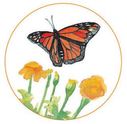 ReadWorks | Award-Winning, EdTech Nonprofit Organization