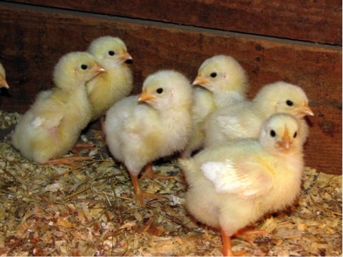 ReadWorks | Award-Winning, EdTech Nonprofit Organization