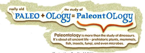 ReadWorks | Award-Winning, EdTech Nonprofit Organization