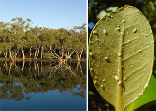 ReadWorks | Award-Winning, EdTech Nonprofit Organization