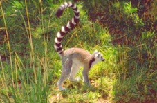 ReadWorks | Award-Winning, EdTech Nonprofit Organization