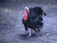 ReadWorks | Award-Winning, EdTech Nonprofit Organization