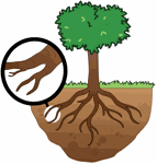 ReadWorks | Award-Winning, EdTech Nonprofit Organization